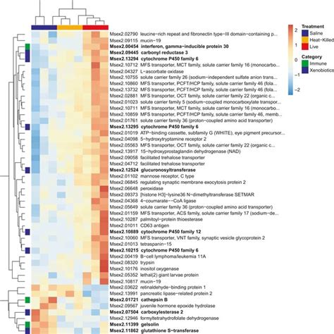 Heatmap Normalized Gene Expression Of Differentially Expressed De