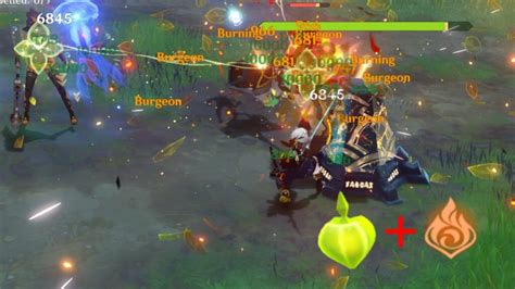 Genshin Impact All Dendro Elemental Reactions And Combos