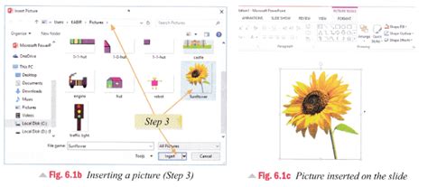 cbse notes for class 5 computer in action working with slides in