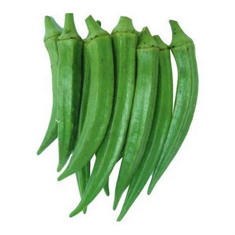 Fresh Lady Finger At ₹ 60kilogram Chennai Id 14027420162