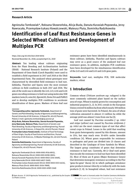 Pdf Identification Of Leaf Rust Resistance Genes In Selected Wheat Cultivars And Development