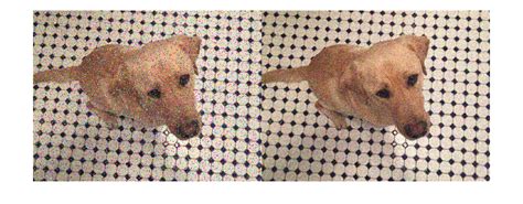 Augment Images For Deep Learning Workflows Matlab Simulink