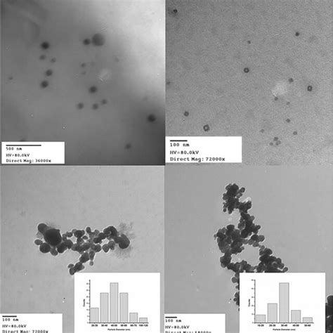 Transmission electron microscopy (TEM) images of nonsonicated [ZnL2 ...