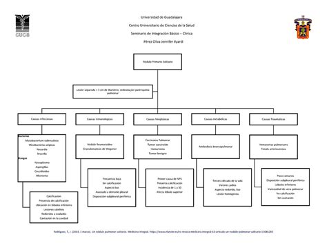 Nódulo Primario Solitario Universidad De Guadalajara Centro