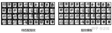 opencv tensorflow指纹识别实战 知乎