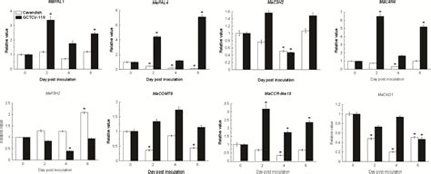 Frontiers Identification And Analysis Of Lignin Biosynthesis Genes