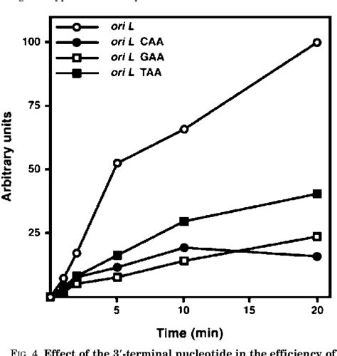Figure 1 From Sequence Requirements For Protein Primed Initiation And