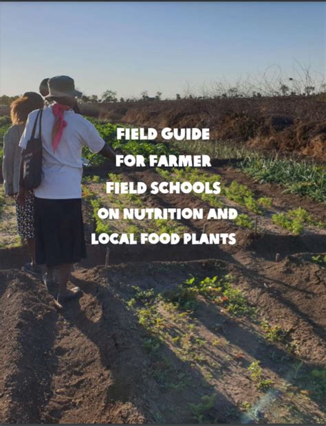 Farmer Field School Field Guide On Nutrition And Local Food Plants