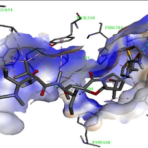 365 Pdfs Review Articles In Ligand Based Drug Design