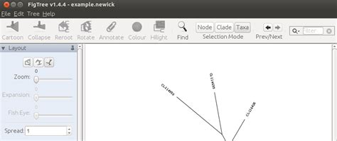 Visualization Tool To Visualize A Collection Of Phylogenetic Trees