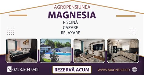 Împuternicire Eliberare Parola Pentru Depunere Online Revisal Model Actualizat 2013