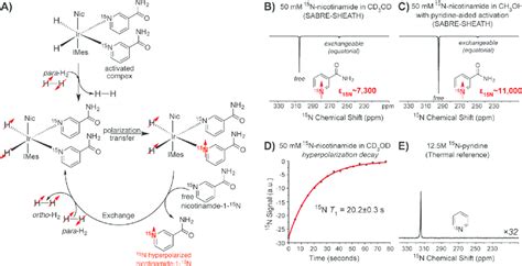 A Schematics Of 15 N Sabre Sheath Hyperpolarization Process 1819 For Download Scientific
