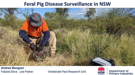 AUST Feral Pig Conference 2023 BENGSEN Disease surveillance in NSW ...
