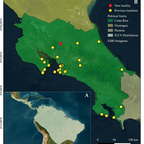Distribution Of Diclidurus Albus A Distribution According To The Iucn