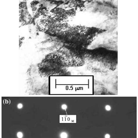 A Bright Field Image Showing High Dislocation Density And B Selected