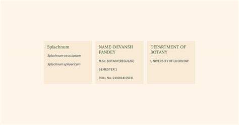 Devansh Pandey Splachnum