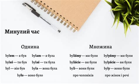 Часи у польській мові минулий теперішній і майбутній Polish Language Language Learning