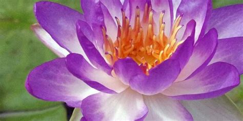 Arch Angel Onlyfans Arch Angel069 Review Leaks Videos Nudes