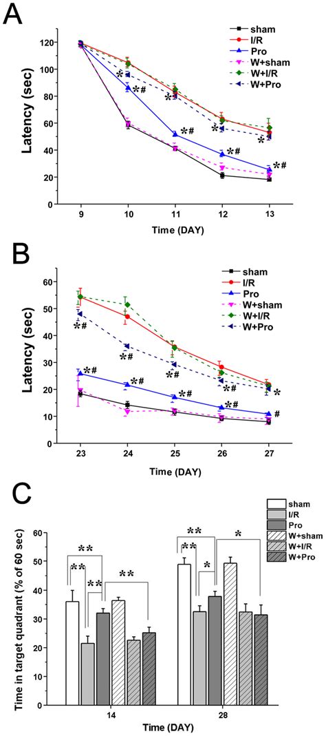propofol post conditioning enhanced the spatial learning memory ability