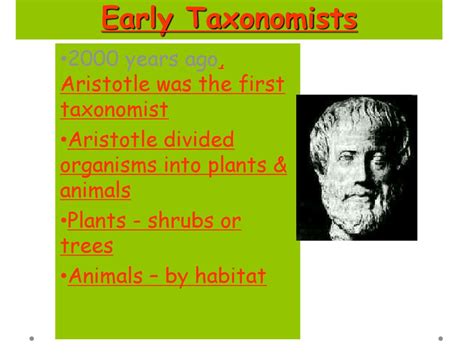 Classification Ppt Download