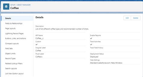 How To Delete A Custom Salesforce Object Common Issues Addressed