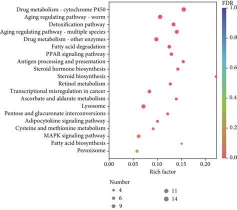transcriptome analysis of c elegans treated with palmatine a download scientific diagram
