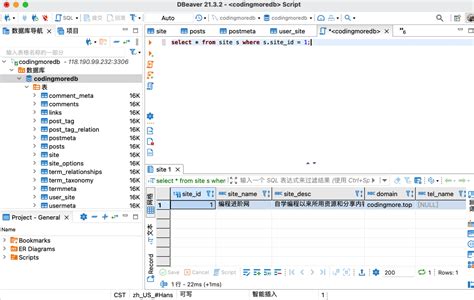 【数据库】dbeaver操作所有数据库管理工具使用详解 dbeaver的使用 csdn博客