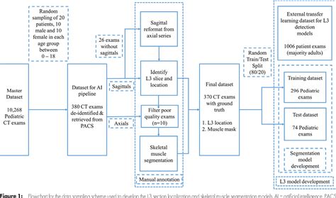 Figure 1 From Automated Segmentation Of Abdominal Skeletal Muscle On Pediatric Ct Scans Using