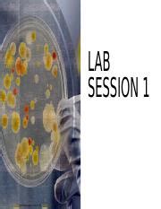 Lab Session Pptx LAB SESSION This Photo By Unknown Author Is