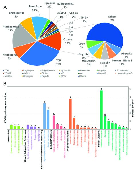 Identification And Kegg Metabolic Pathway Annotation Of Amps In