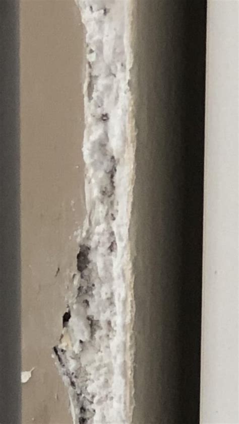 Is This Asbestos Or White Mold Rasbestoshelp