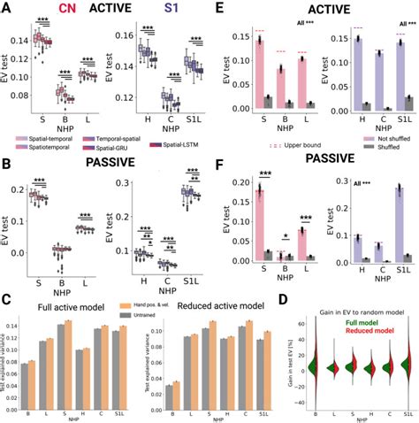 Task Driven Neural Network Models Predict Neural Dynamics Of Proprioception Cell