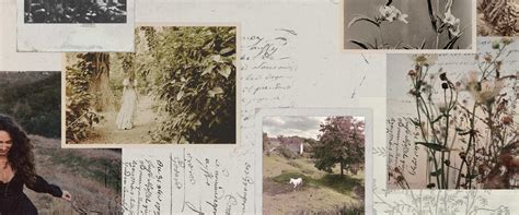 Amber Rae Brand And Website Design By Studio Madz