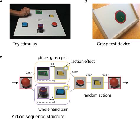 Illustrations Depicting Classification Of Grasping Actions Into Whole