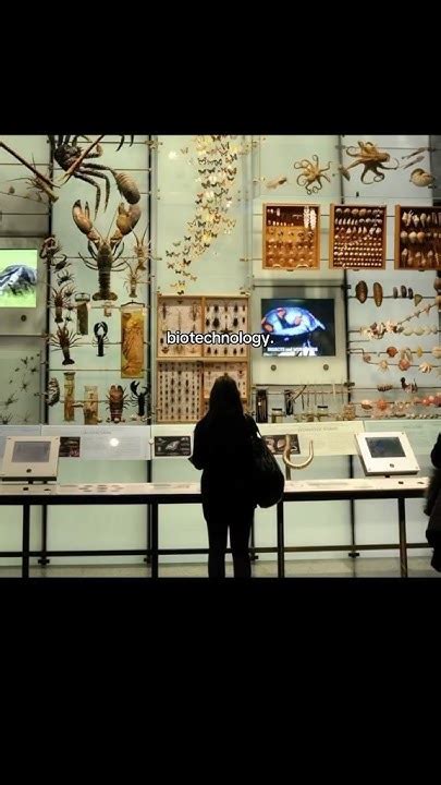 Biotechnology Biotechnology Biotebio Biotechbreakthroughs Shorts Youtube