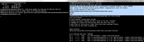 Exploit Shim Pwn Cdk Team CDK Wiki GitHub