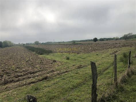 Срочно продается сельскохозяйственного назначения инвестиционный земельный участок в Натанеби