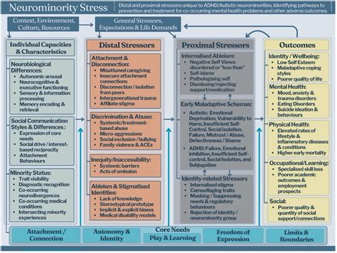 10 Key Schemas Examples For Better Understanding And Organization