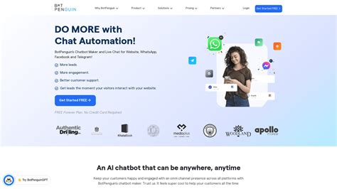 3 alternatives to botpenguin chatbot for 2024