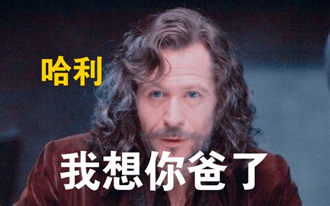 [一个cy] 当小天狼星来到霍格沃茨当老师…… 这是一个cy 这是一个cy 哔哩哔哩视频