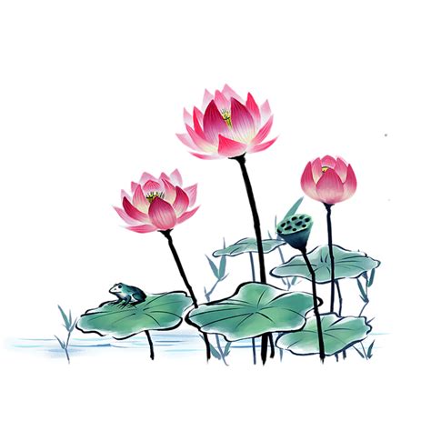 荷塘青蛙手绘水墨荷花