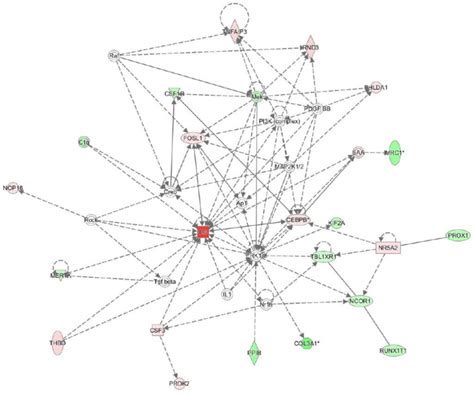 Interactions Between Differentially Expressed Genes Found By Ingenuity