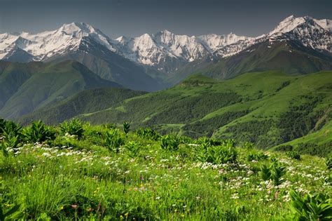 Premium Photo Mountains Of Chechnya In The Caucasus