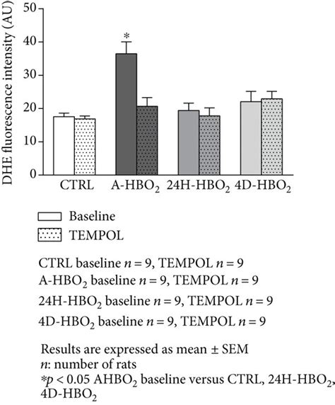 A Dhe Superoxide Fluorescence Intensity Measurement In Rat Aorta The