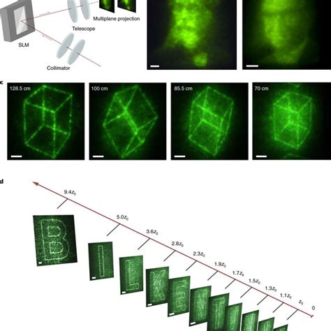 Principle Of Crosstalk Suppression In Multiplane Projection A Download Scientific Diagram
