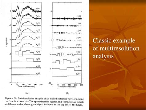 Ppt Biomedical Signal Processing Wavelets Powerpoint Presentation