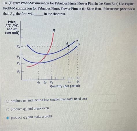 Solved 14 Figure Profit Maximization For Fabulous Finns
