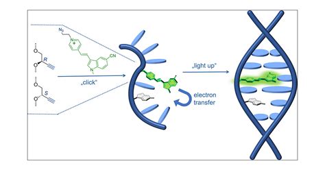 Nucleic Acid Hybridization