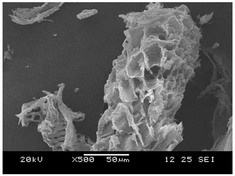 Catalysts Free Full Text Pseudomonas Stutzeri Immobilized Sawdust Biochar For Nickel Ion Removal