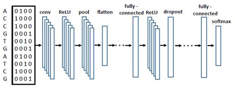 convolutional neural network using the onehot encoded scheme as input